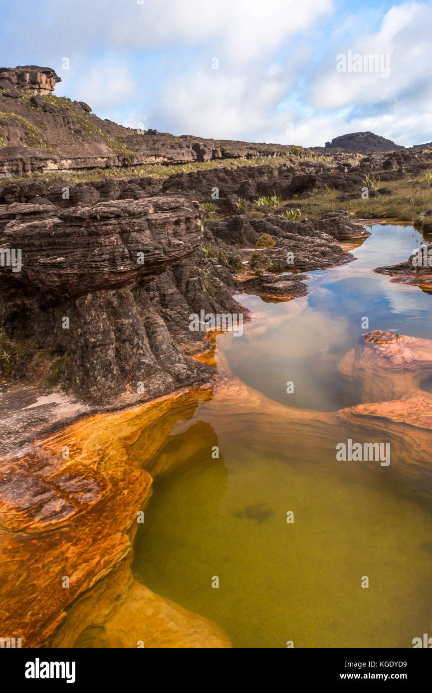 Mount roraima hi-res stock photography and images - Alamy