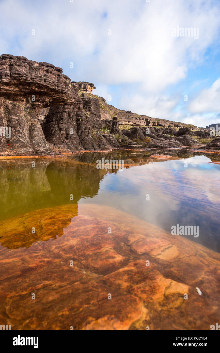 Trekking Mount Roraima Venezuela South America Stock Photo - Alamy