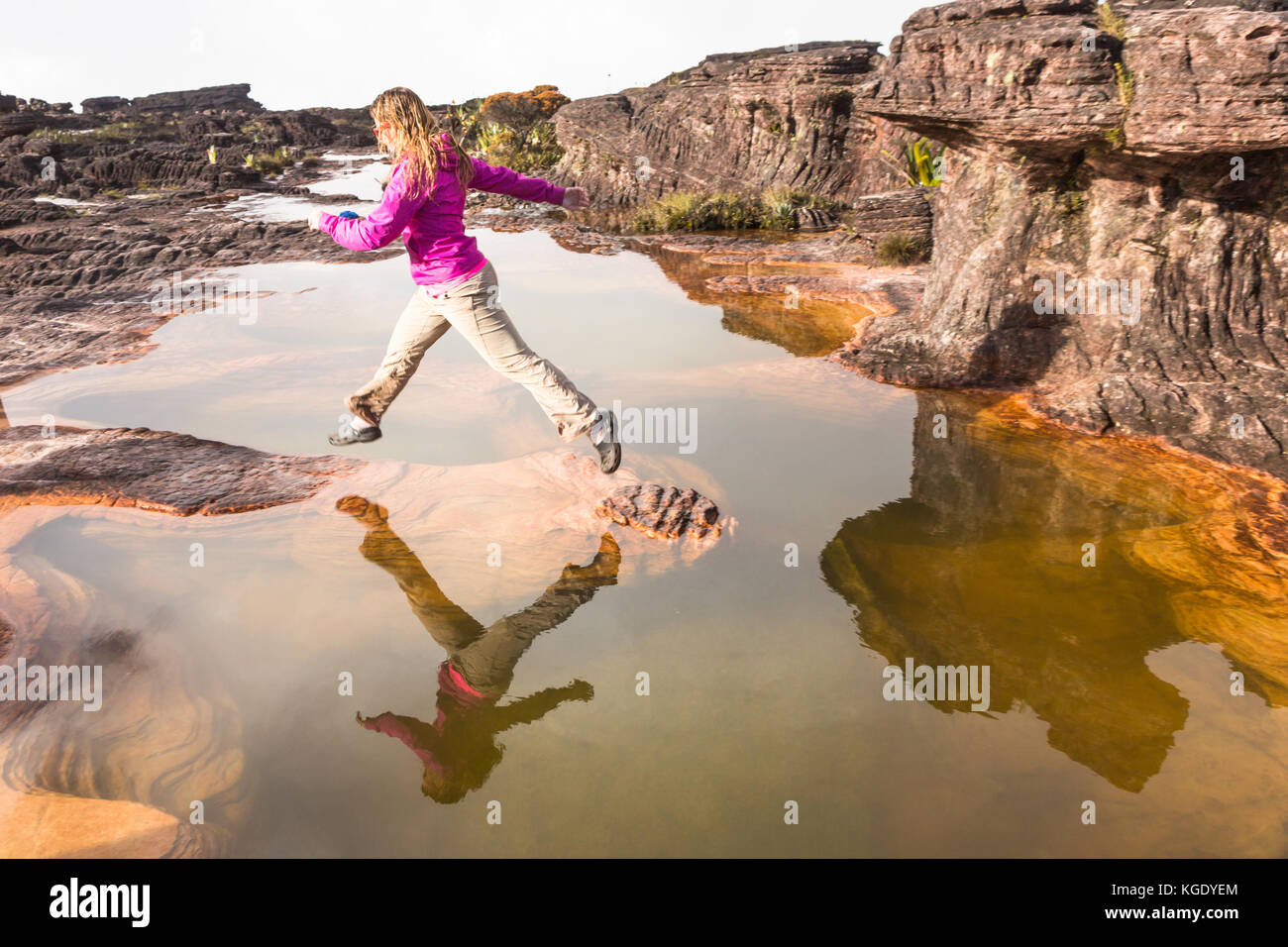 Trekking Mount Roraima Venezuela South America Stock Photo - Alamy
