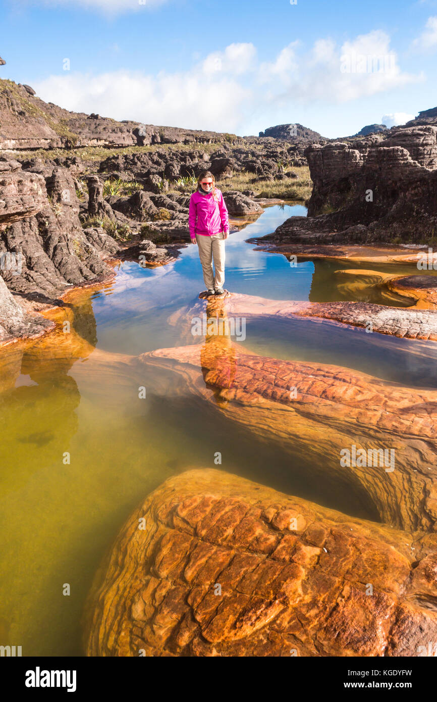Trekking Mount Roraima Venezuela South America Stock Photo - Alamy