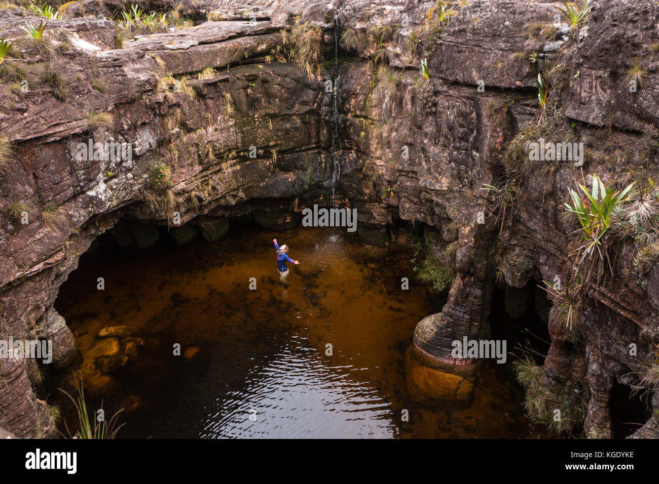 Trekking Mount Roraima Venezuela South America Stock Photo - Alamy