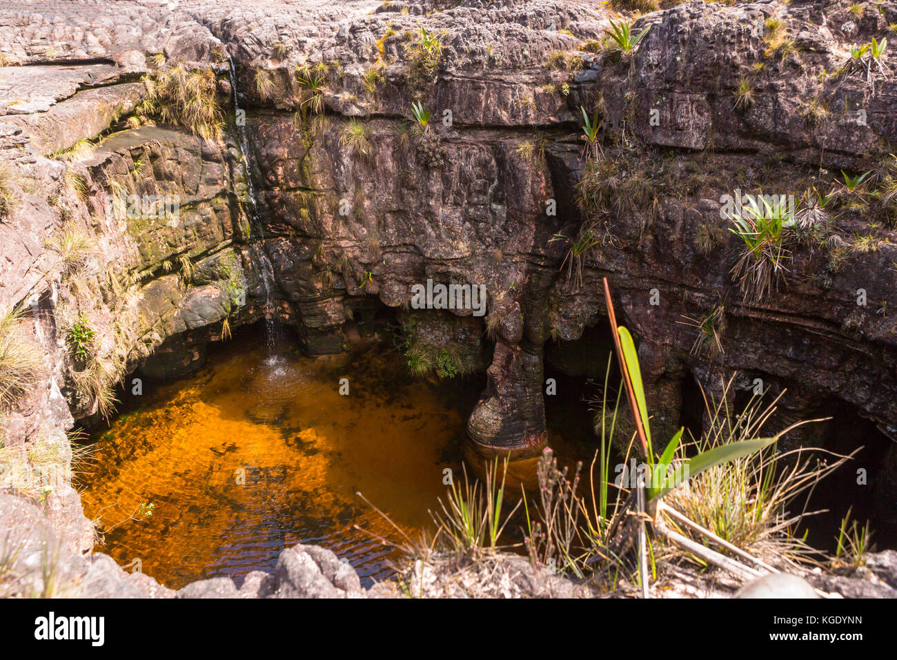 Trekking Mount Roraima Venezuela South America Stock Photo - Alamy
