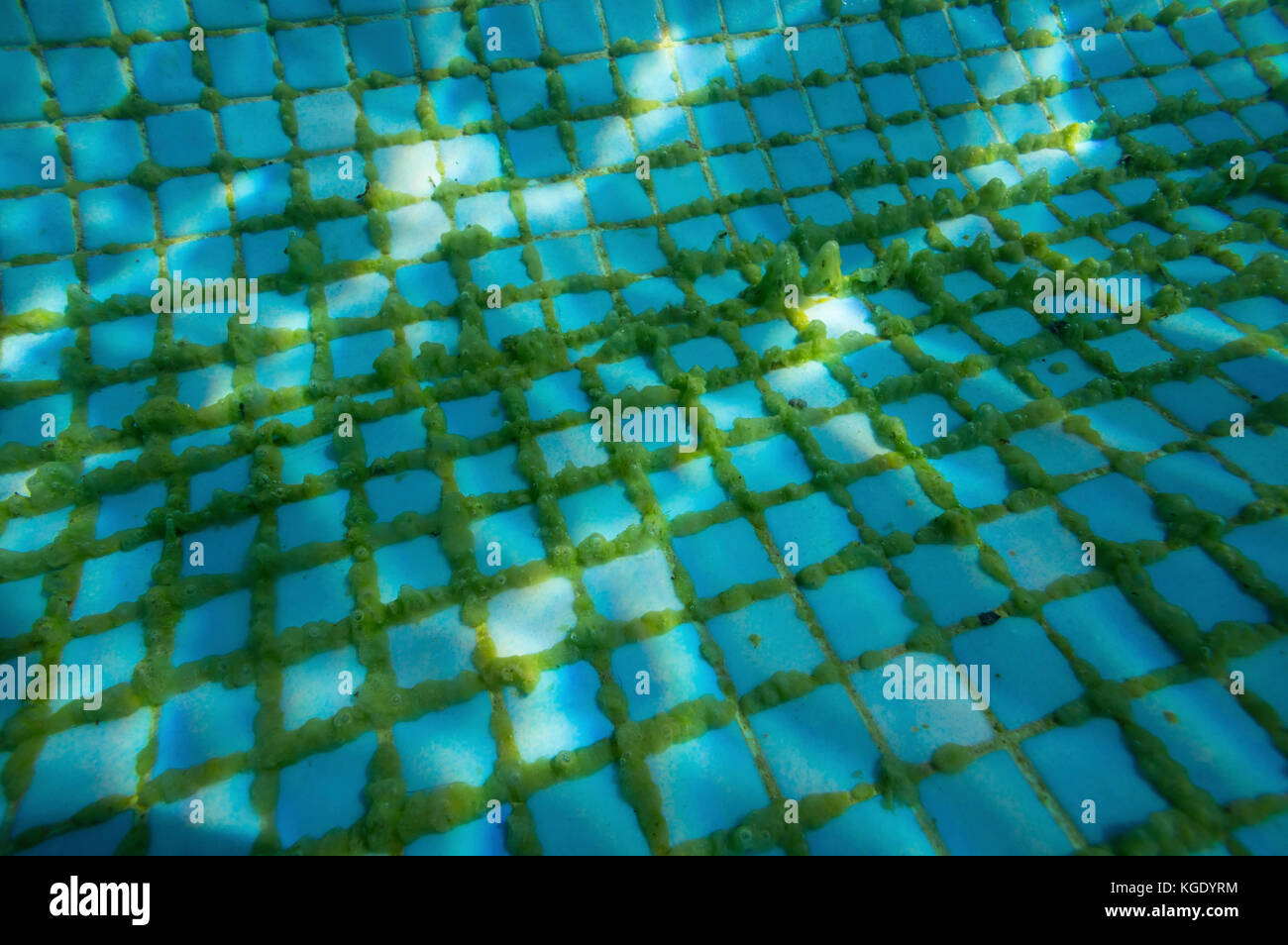 Bubles High Resolution Stock Photography and Images - Alamy