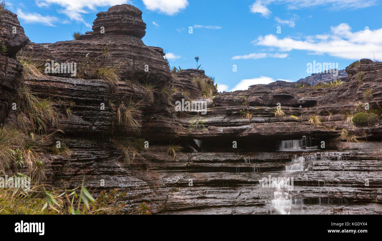 Trekking Mount Roraima Venezuela South America Stock Photo - Alamy