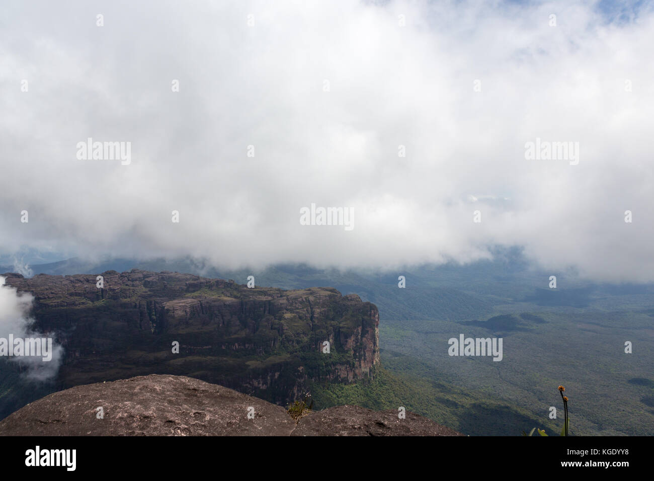 Trekking Mount Roraima Venezuela South America Stock Photo - Alamy