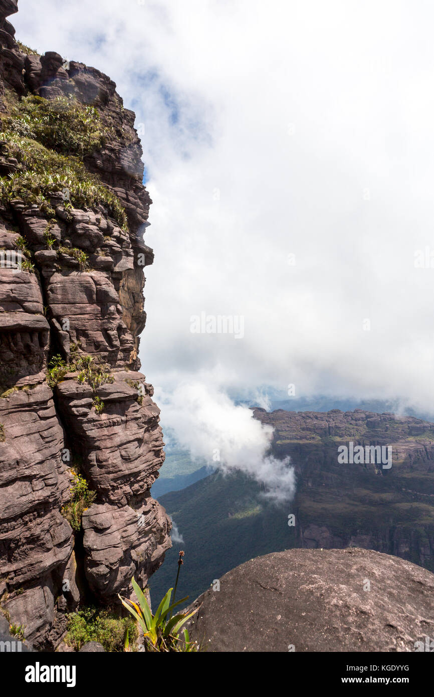 Trekking Mount Roraima Venezuela South America Stock Photo - Alamy