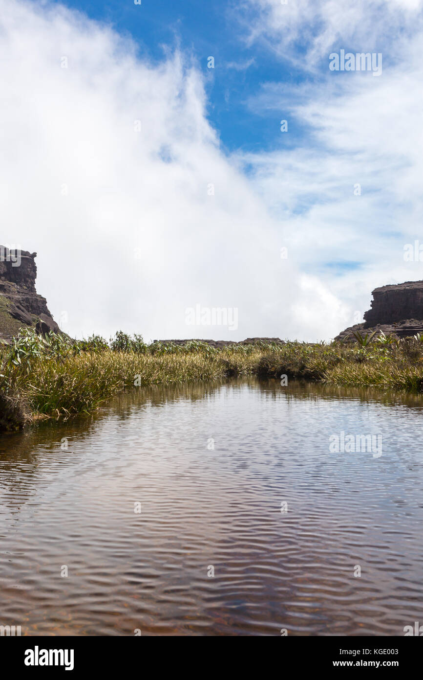 Trekking Mount Roraima Venezuela South America Stock Photo - Alamy