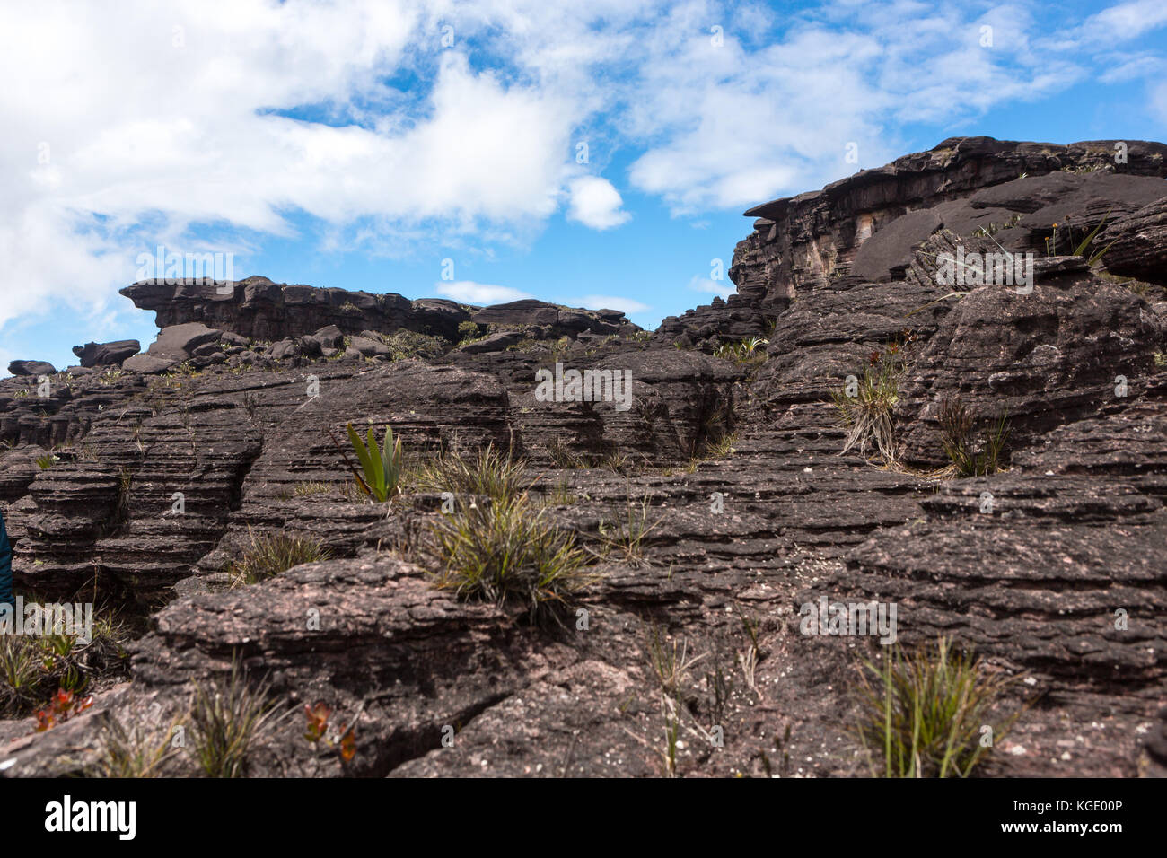 Trekking Mount Roraima Venezuela South America Stock Photo - Alamy