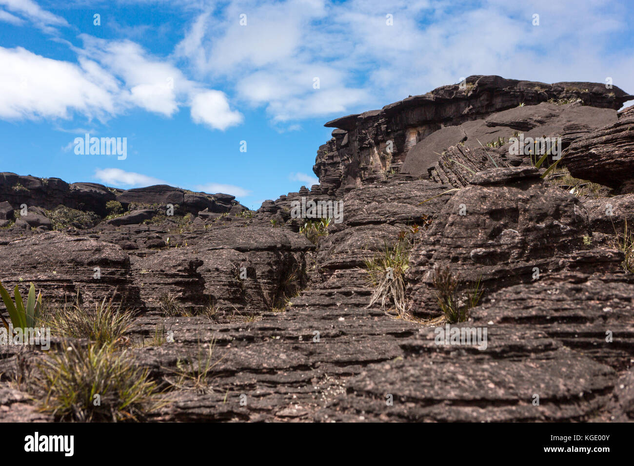 Trekking Mount Roraima Venezuela South America Stock Photo - Alamy