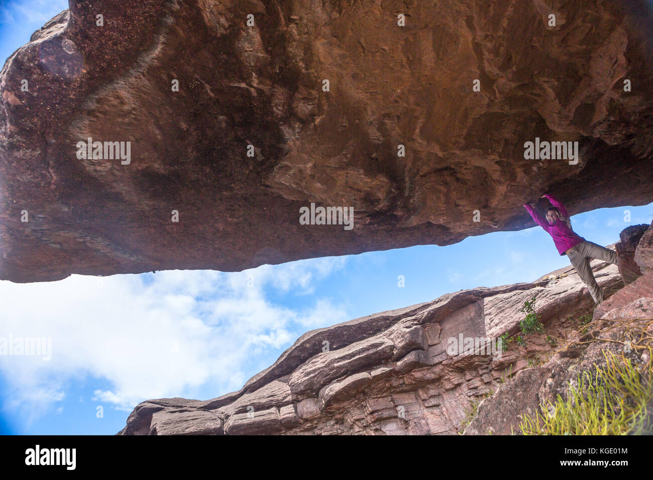 Trekking Mount Roraima Venezuela South America Stock Photo - Alamy