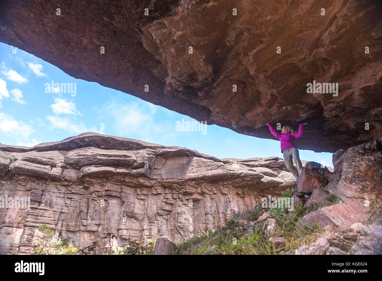 Trekking Mount Roraima Venezuela South America Stock Photo - Alamy