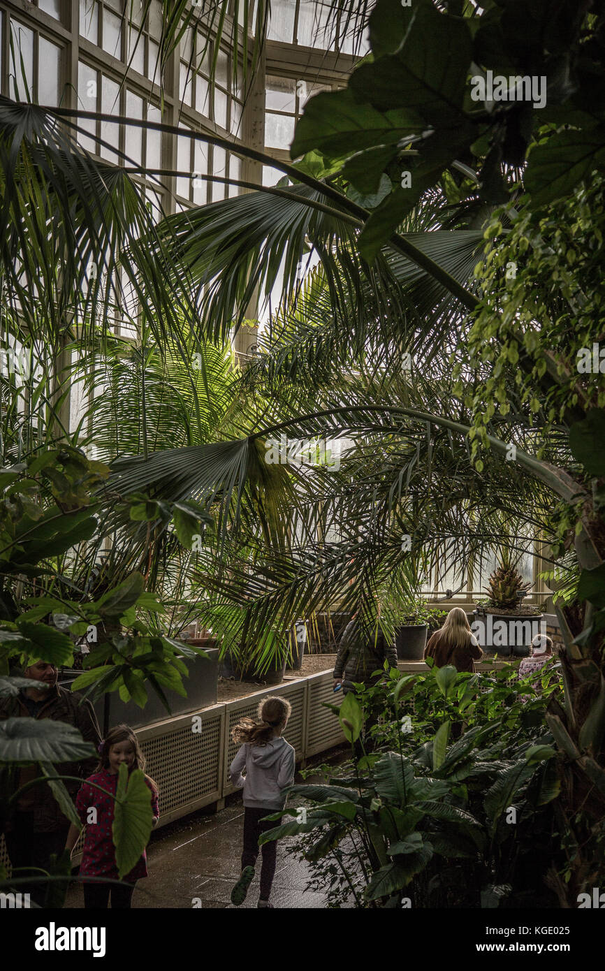The National Botanic Gardens, Dublin, Ireland Stock Photo - Alamy