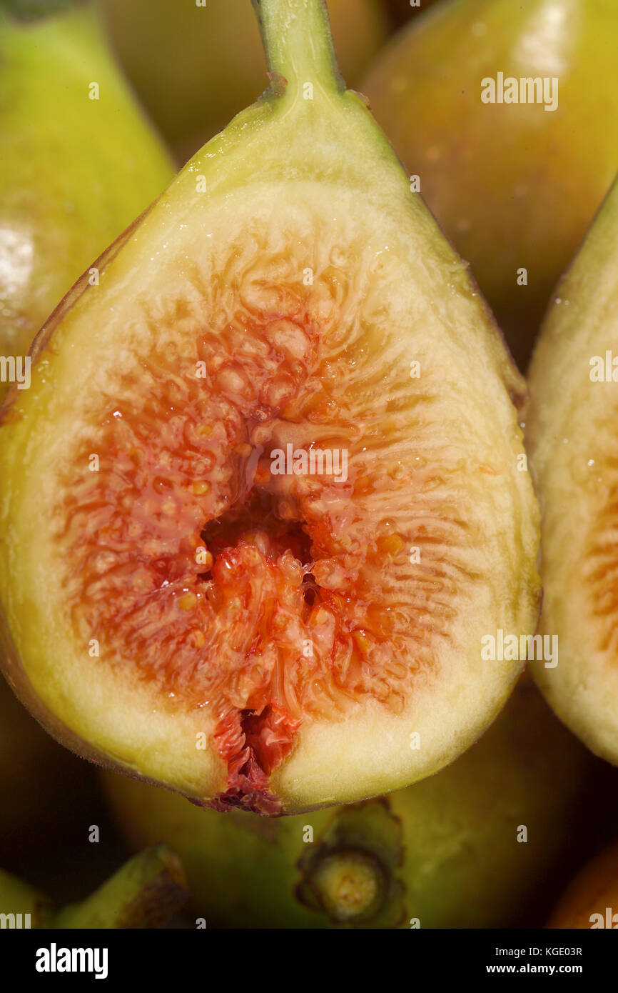 CELESTE FIG CLOSE UP OF INSIDE HALF Stock Photo - Alamy