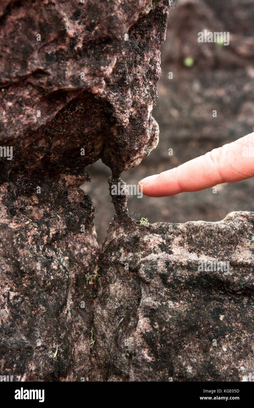 Trekking Mount Roraima Venezuela South America Stock Photo - Alamy