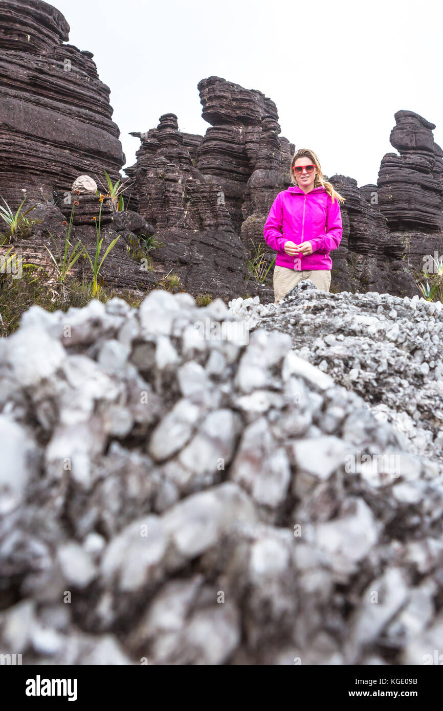 Trekking Mount Roraima Venezuela South America Stock Photo - Alamy