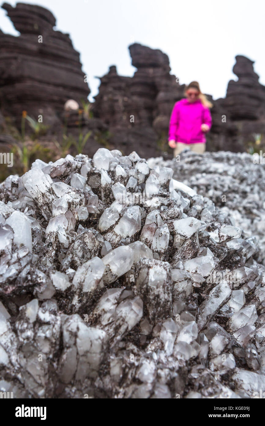 Trekking Mount Roraima Venezuela South America Stock Photo - Alamy