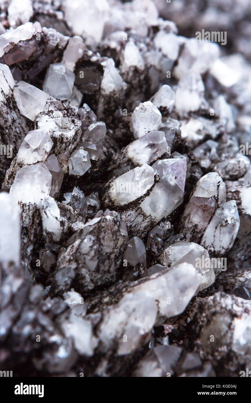 Trekking Mount Roraima Venezuela South America Stock Photo - Alamy