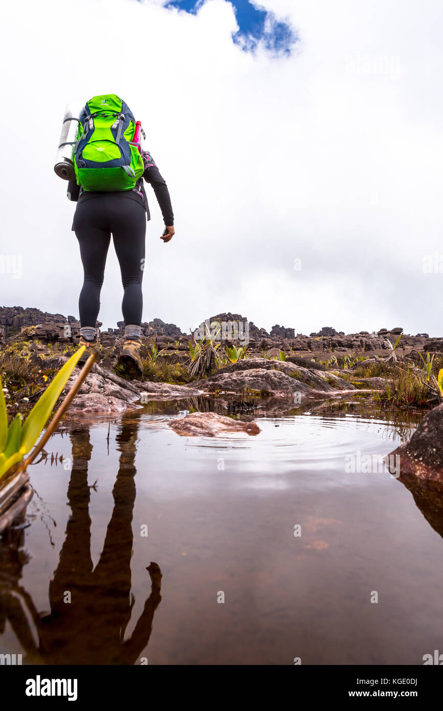 Trekking Mount Roraima Venezuela South America Stock Photo - Alamy