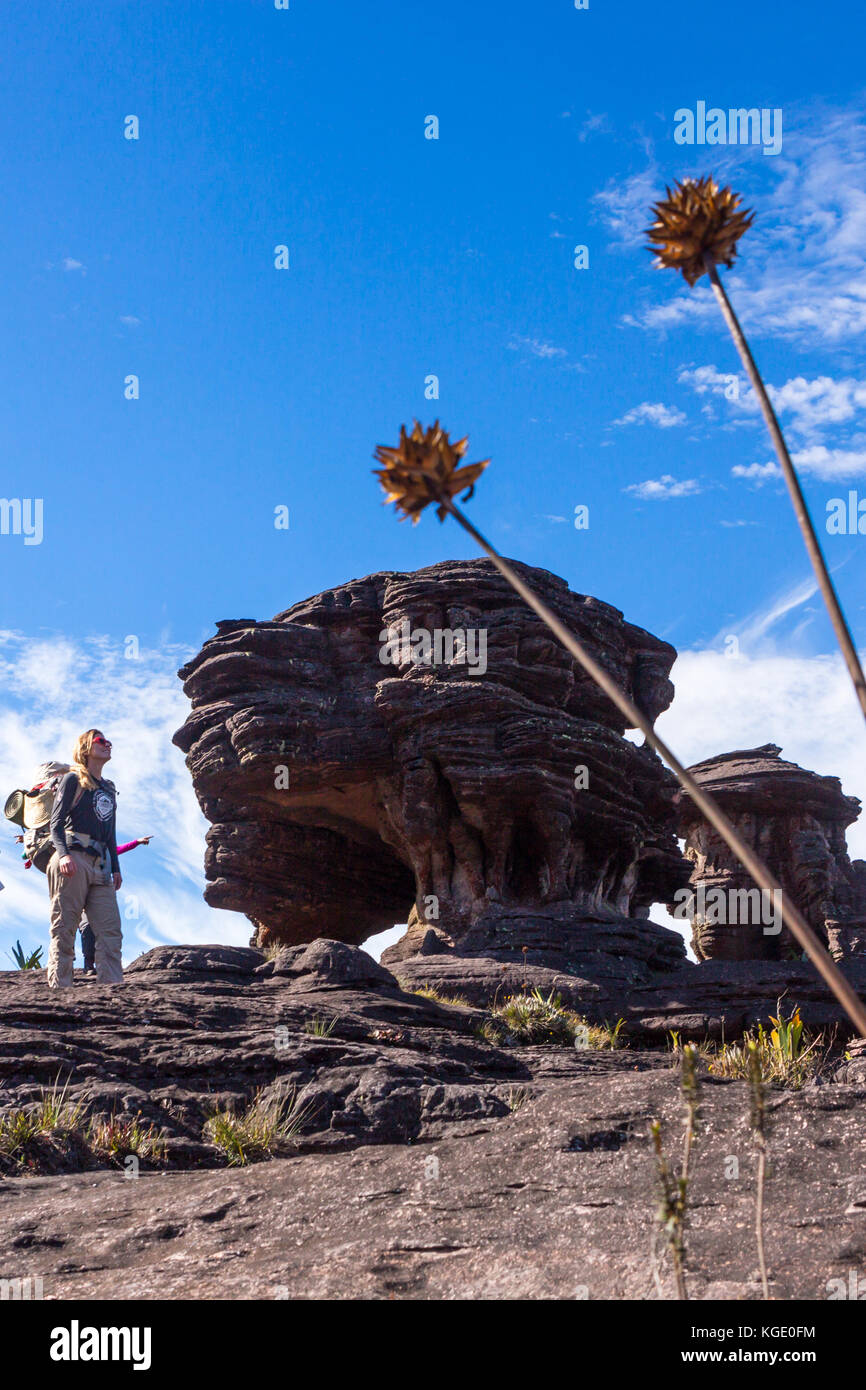 Trekking Mount Roraima Venezuela South America Stock Photo - Alamy
