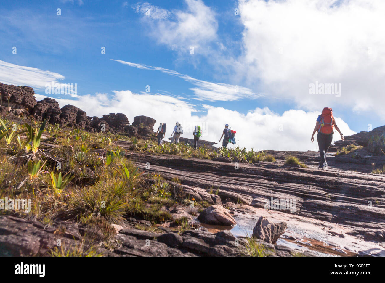Trekking Mount Roraima Venezuela South America Stock Photo - Alamy
