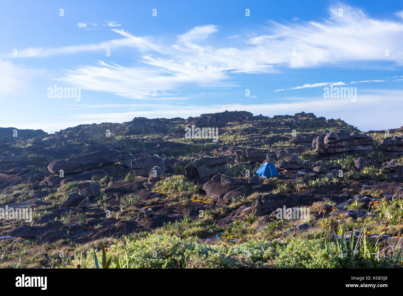 Trekking Mount Roraima Venezuela South America Stock Photo - Alamy
