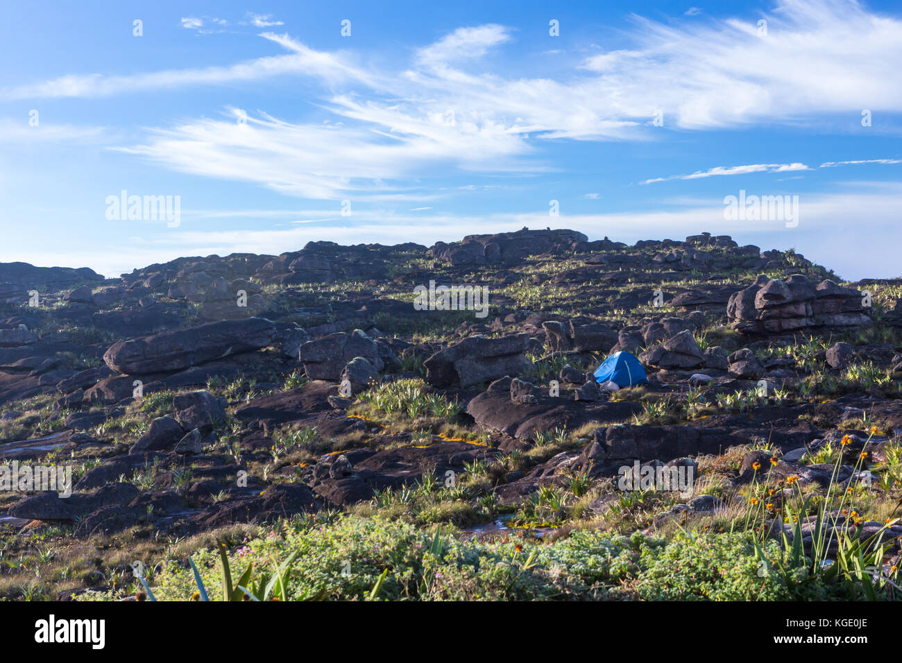 Mount roraima brasil hi-res stock photography and images - Alamy