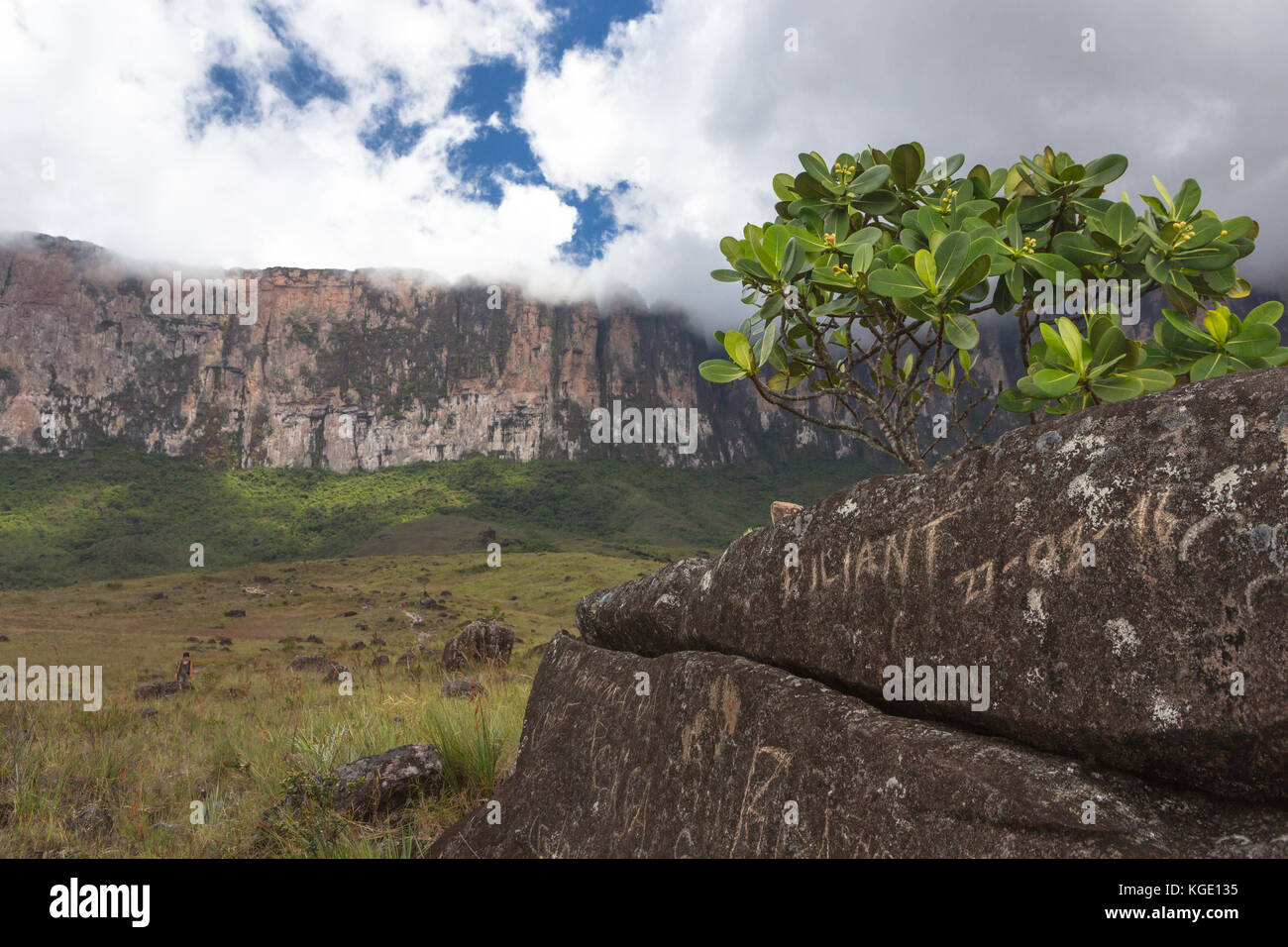 Trekking Mount Roraima Venezuela South America Stock Photo - Alamy