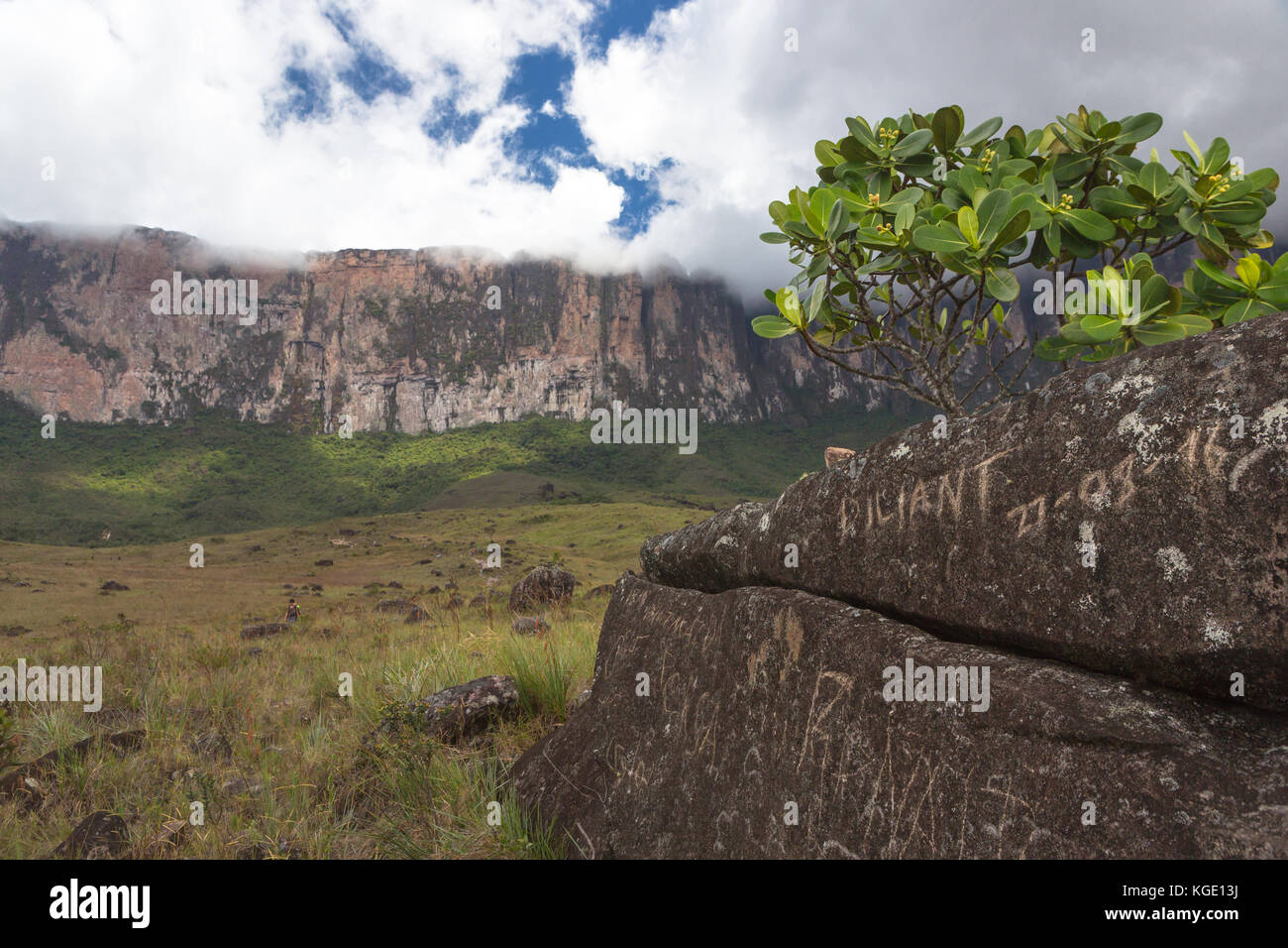 Trekking Mount Roraima Venezuela South America Stock Photo - Alamy