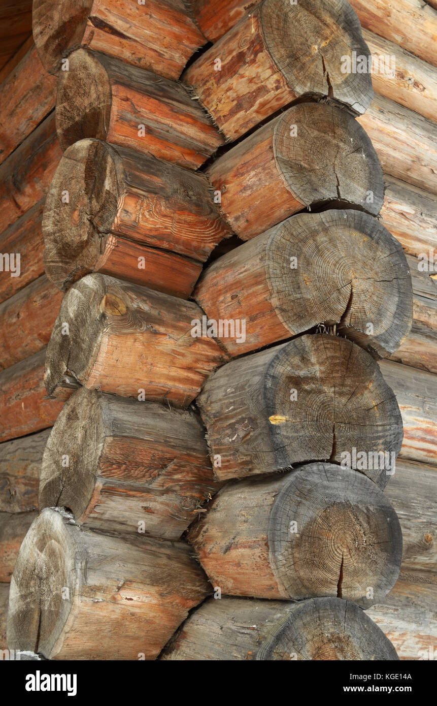 The connection of the pine logs in the wall of a village house Stock ...