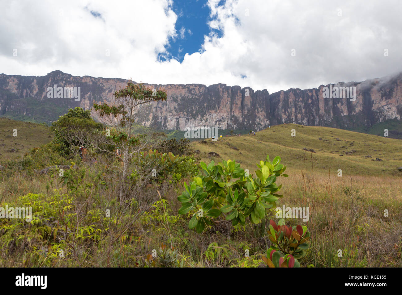 Trekking Mount Roraima Venezuela South America Stock Photo - Alamy