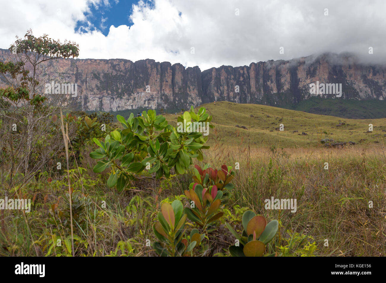 Trekking Mount Roraima Venezuela South America Stock Photo - Alamy