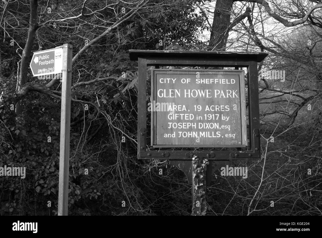 Overgrown park Black and White Stock Photos & Images - Alamy