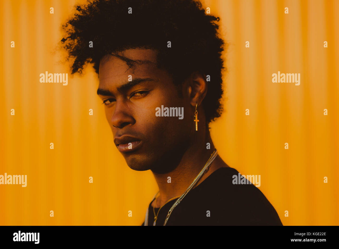 Lewis in New York Stock Photo - Alamy