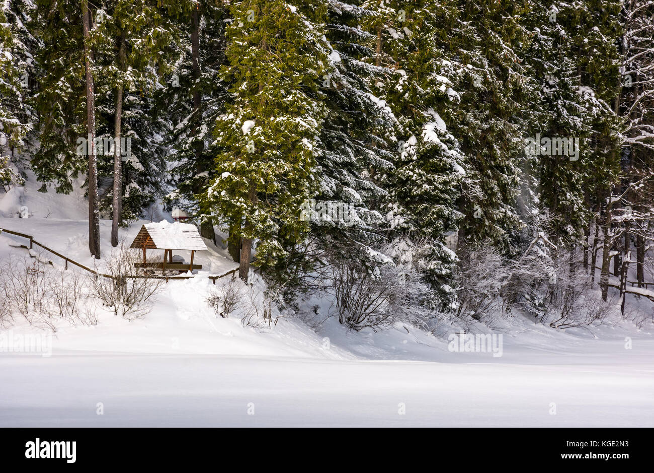 alcove in snowy spruce forest. lovely winter scenery Stock Photo - Alamy