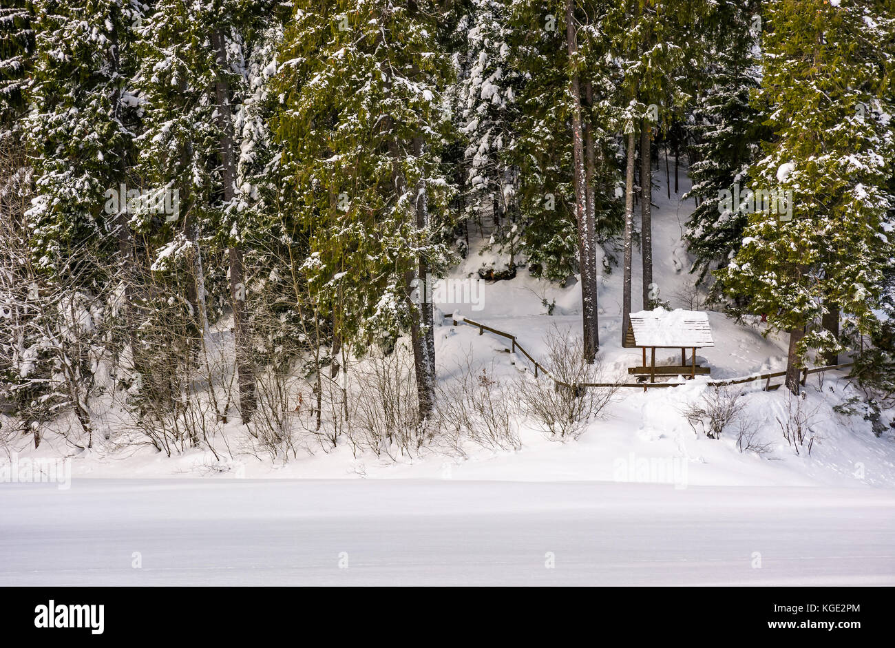 Picturesque snowy forest hi-res stock photography and images - Alamy