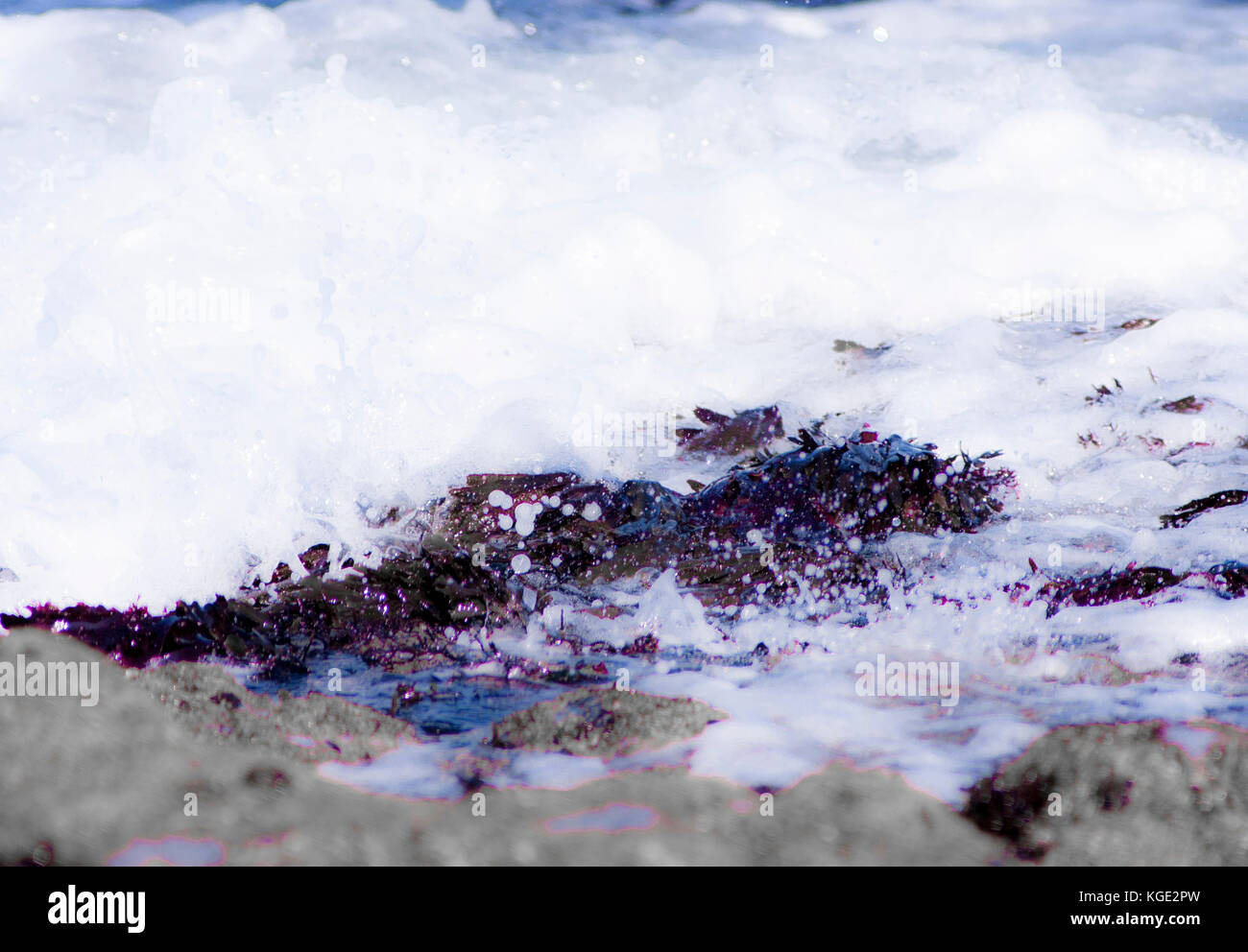 Stylized purple background hi-res stock photography and images - Alamy