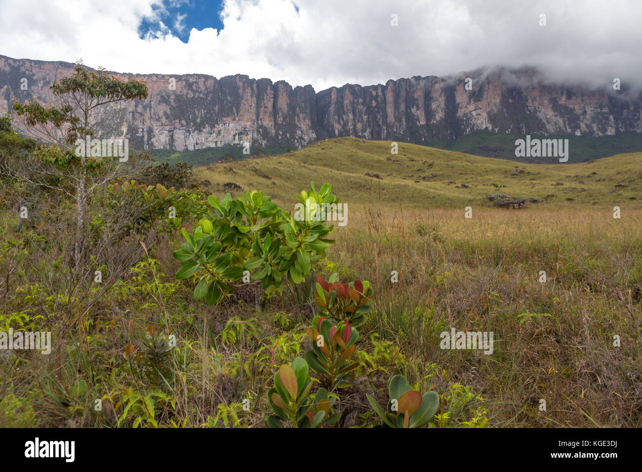 Trekking Mount Roraima Venezuela South America Stock Photo - Alamy