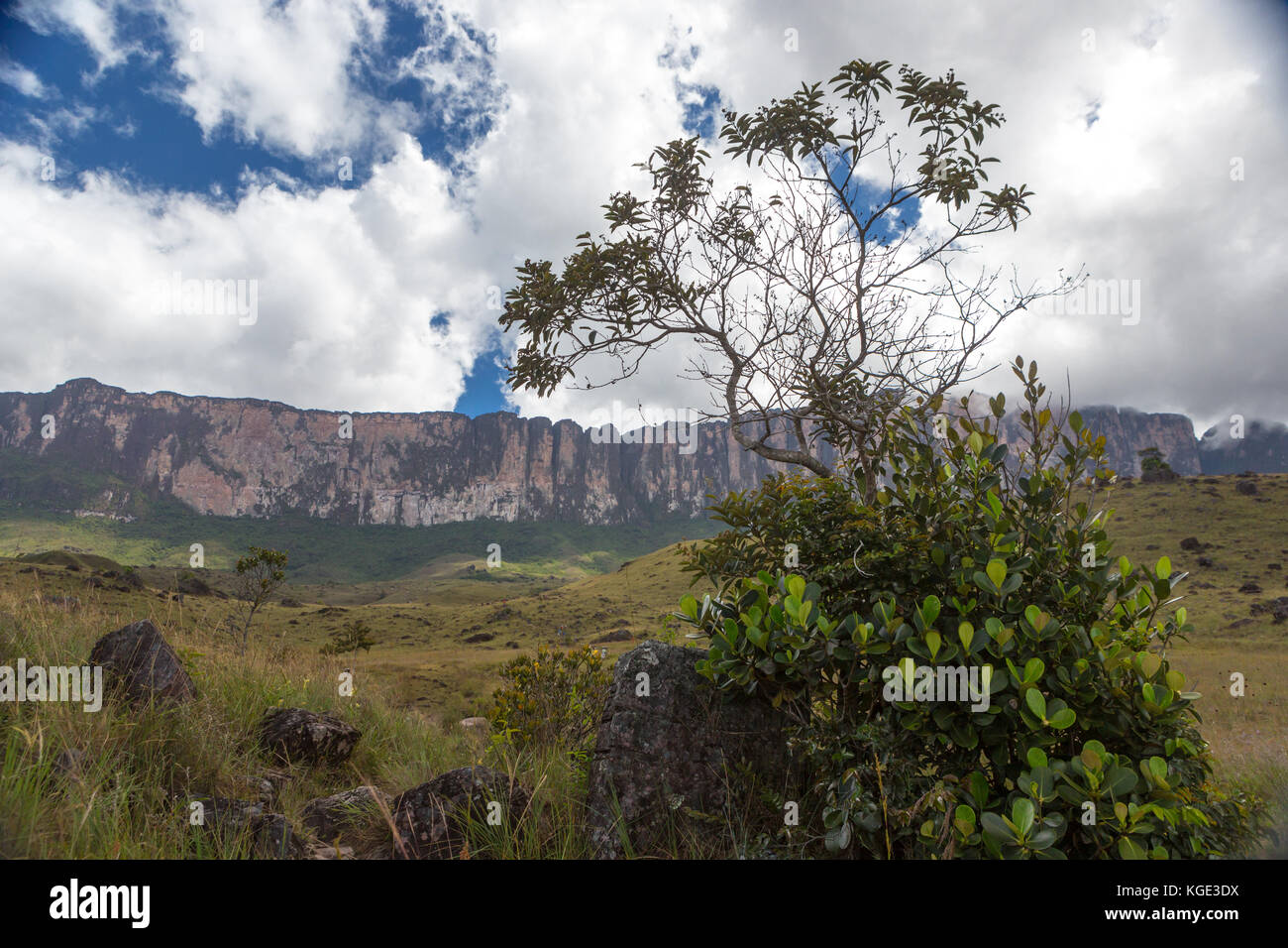 Trekking Mount Roraima Venezuela South America Stock Photo - Alamy