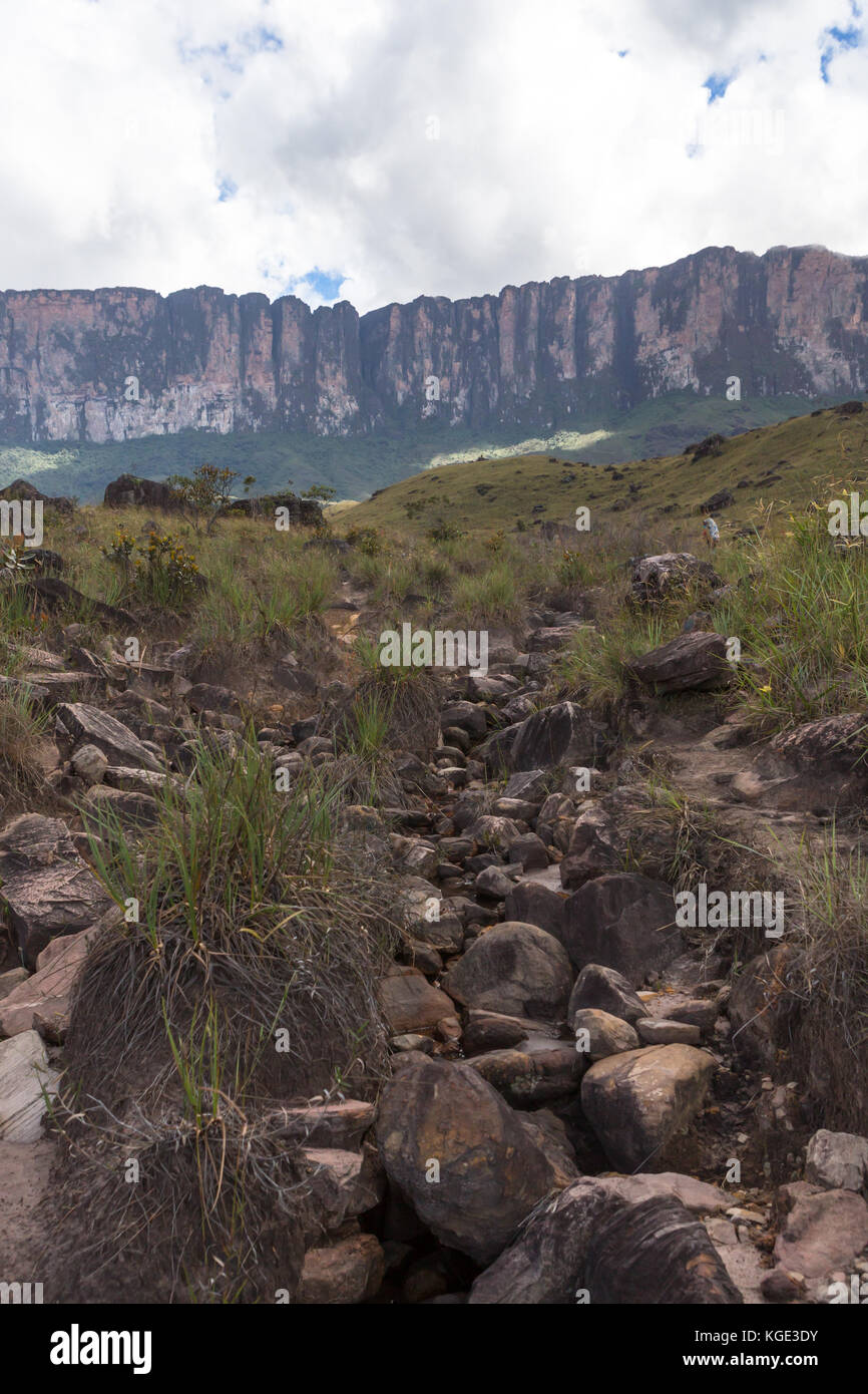 Trekking Mount Roraima Venezuela South America Stock Photo - Alamy