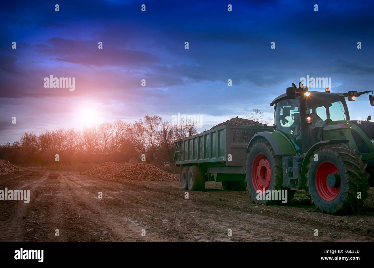 Sugar Beet Harvesting Machine High Resolution Stock Photography and ...