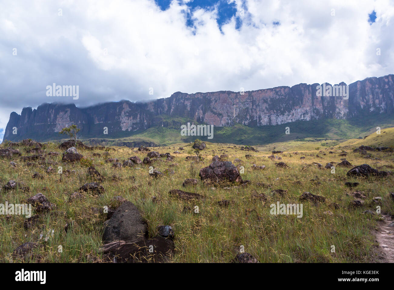 Roraima mountain hi-res stock photography and images - Alamy