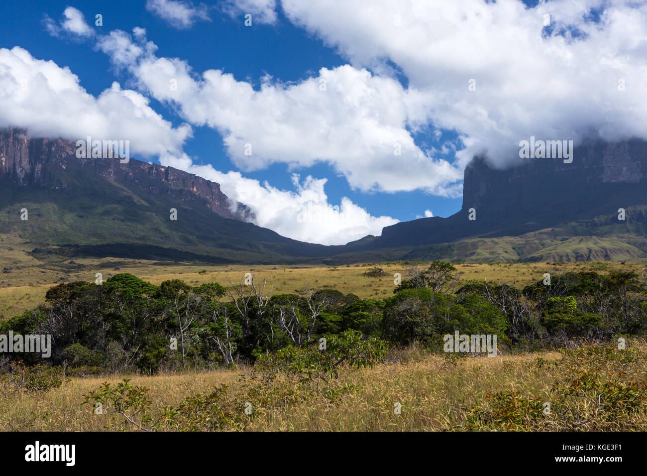 Trekking Mount Roraima Venezuela South America Stock Photo - Alamy