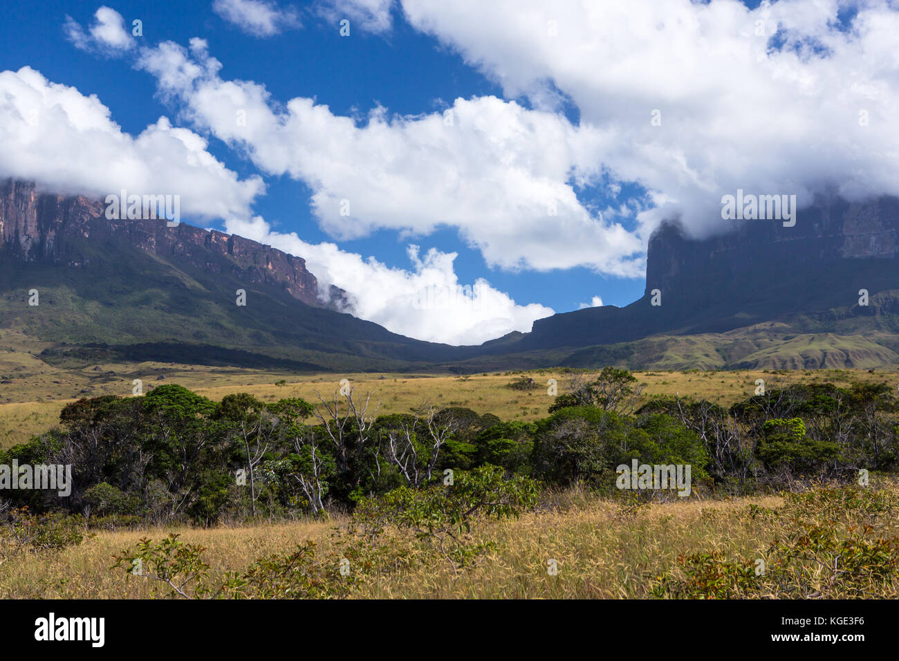 Trekking Mount Roraima Venezuela South America Stock Photo - Alamy