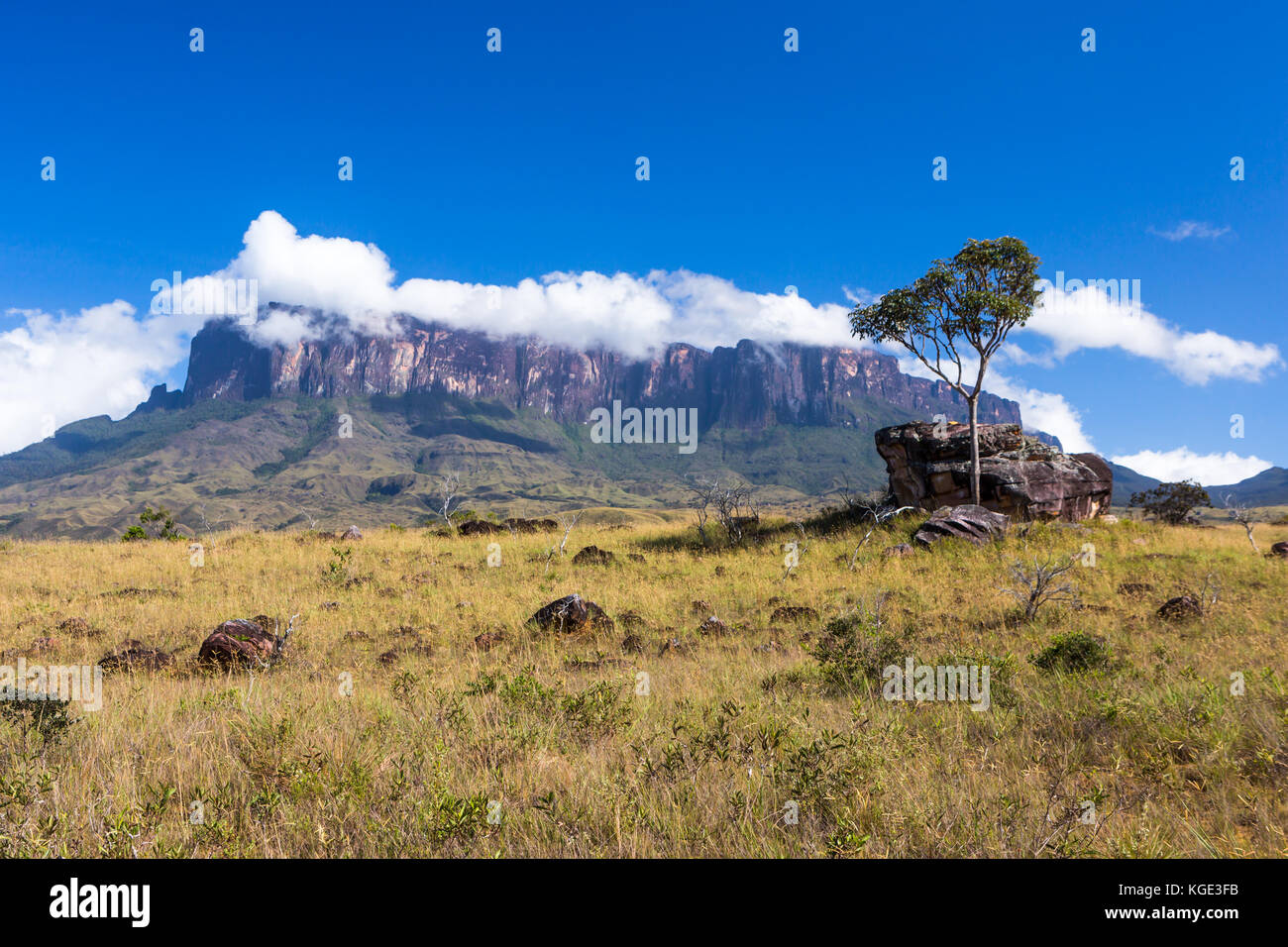 Trekking Mount Roraima Venezuela South America Stock Photo - Alamy