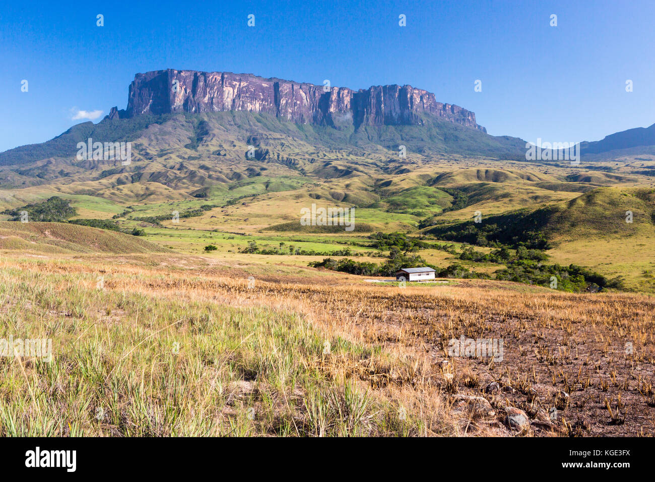 Trekking Mount Roraima Venezuela South America Stock Photo - Alamy