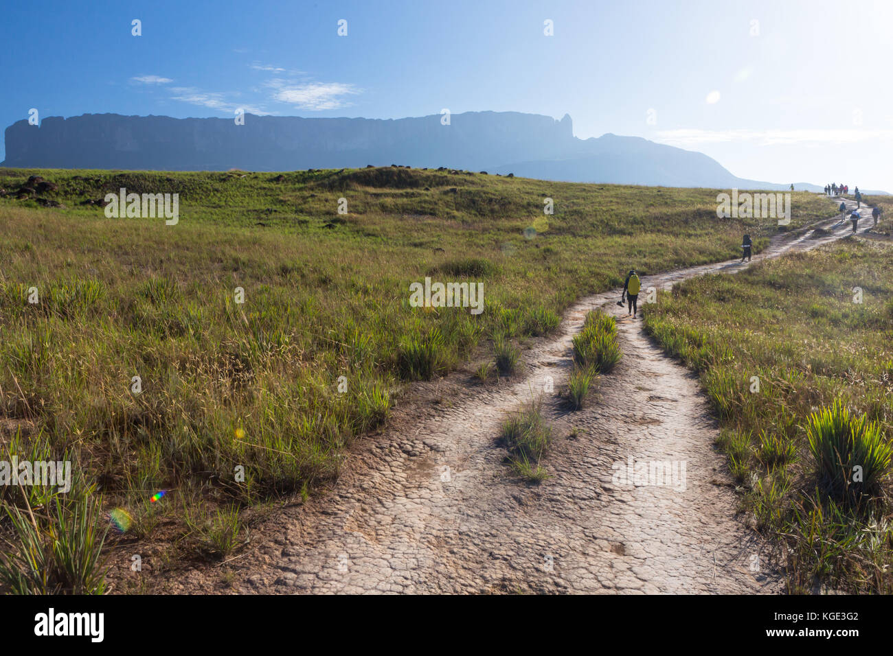 Trekking Mount Roraima Venezuela South America Stock Photo - Alamy