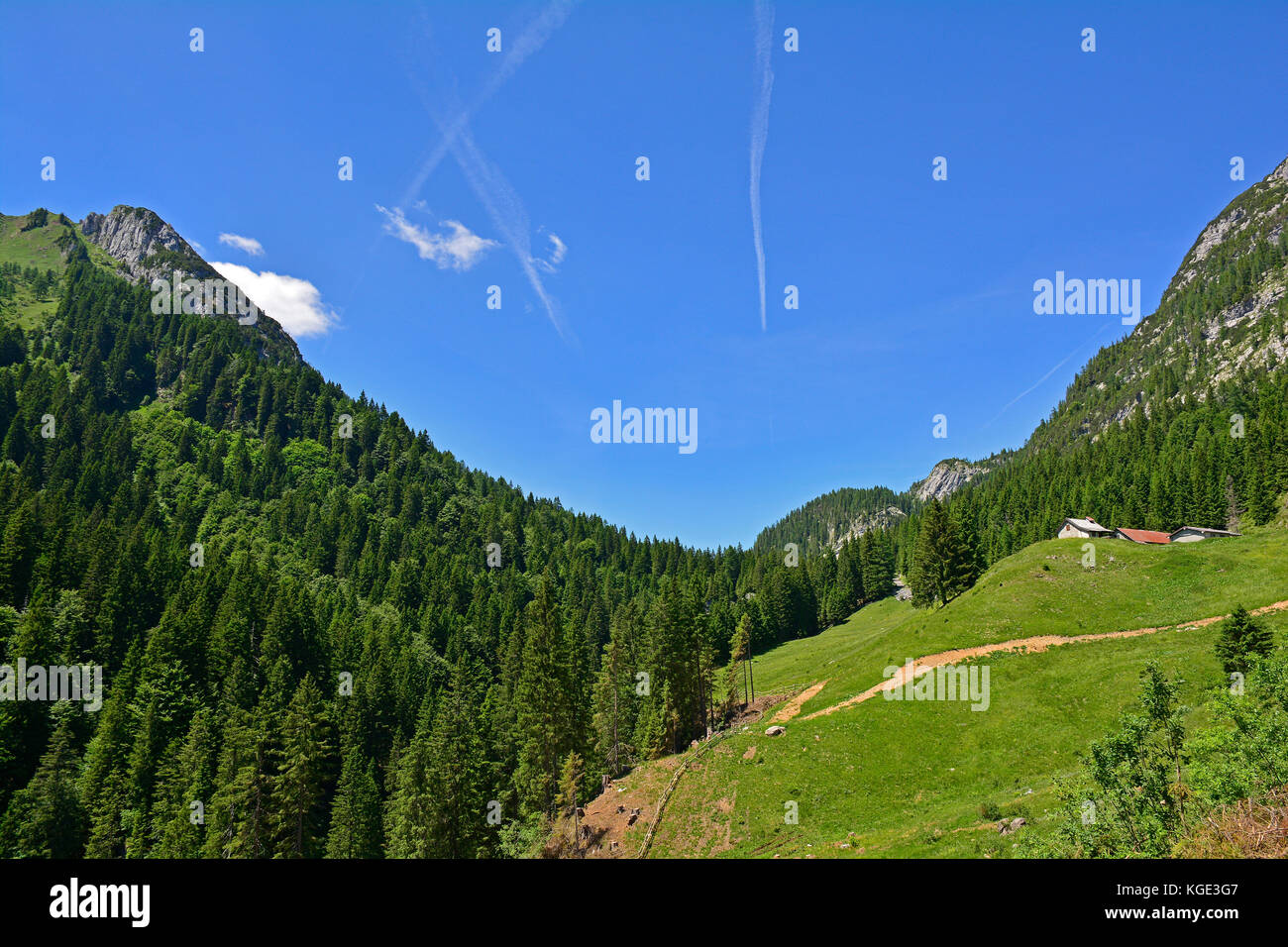 The mid-June rural landscape of the Carnic Alps near Paularo, Friuli ...