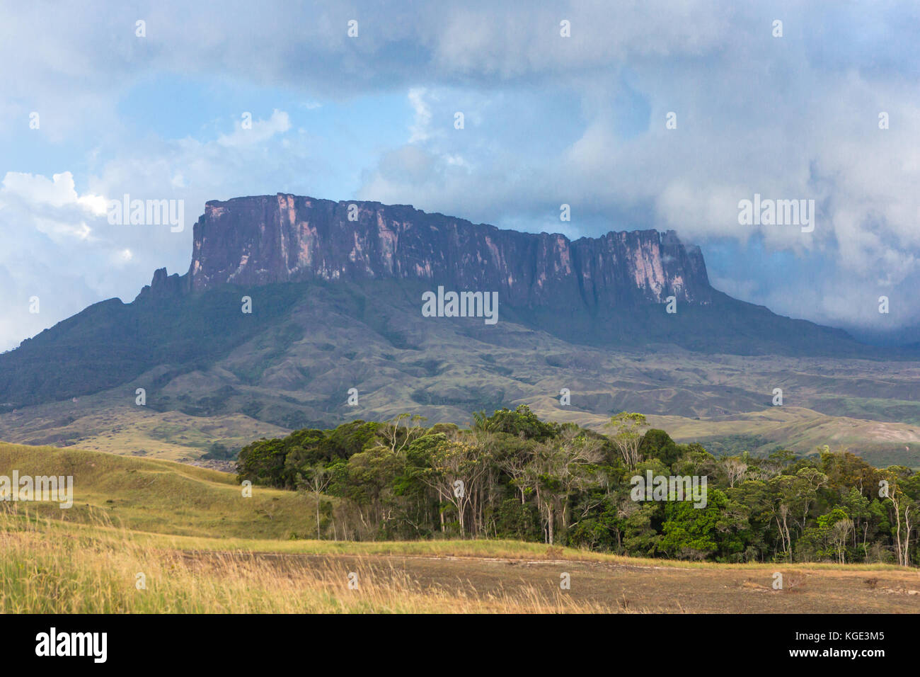 Trekking Mount Roraima Venezuela South America Stock Photo - Alamy