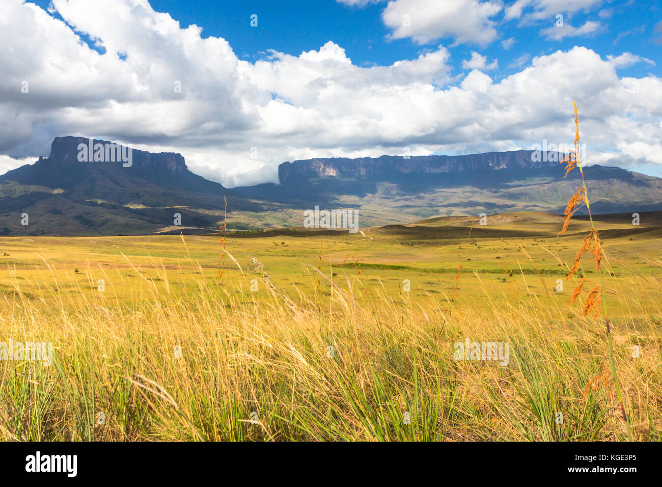 Trekking Mount Roraima Venezuela South America Stock Photo - Alamy