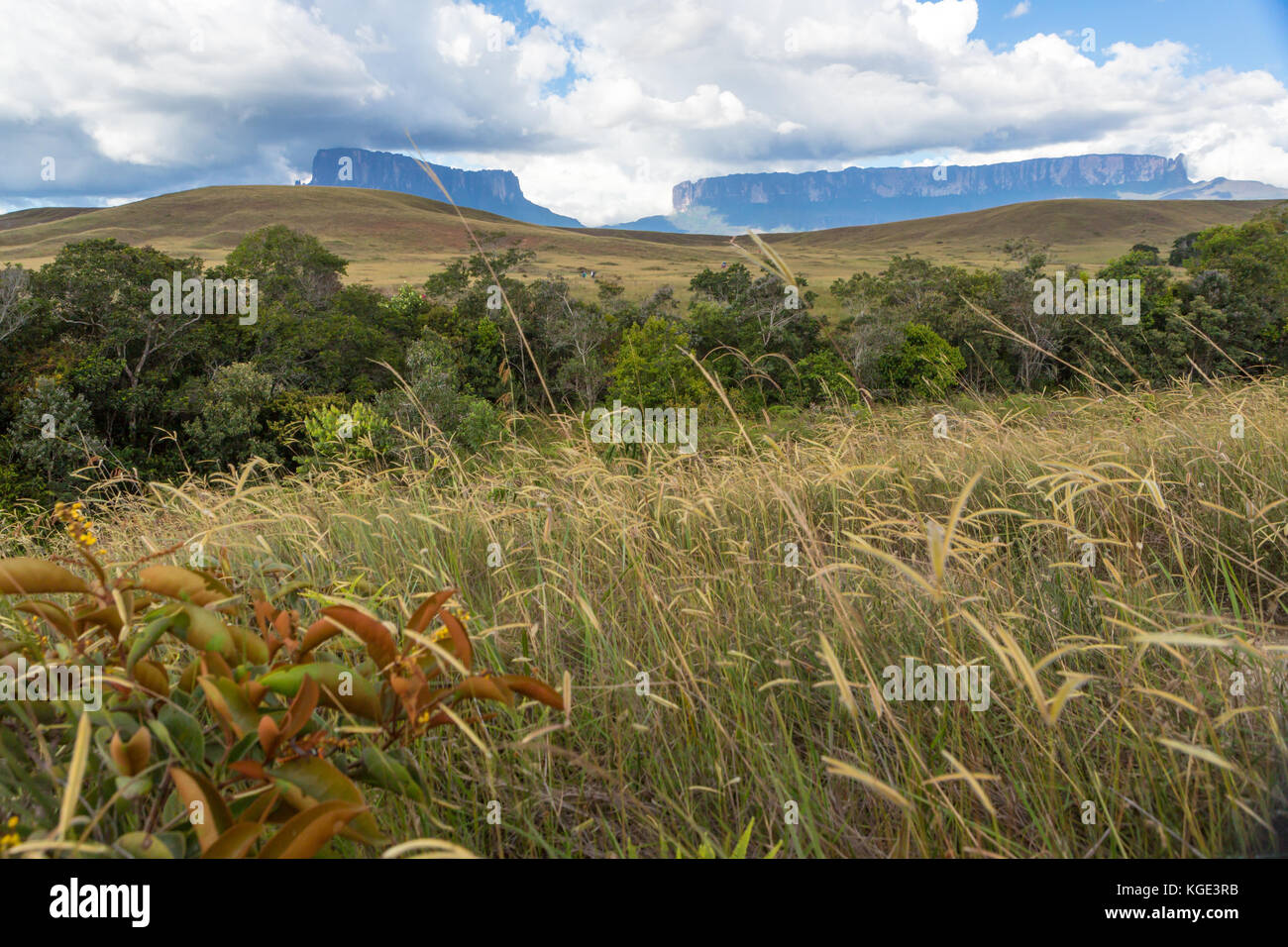 Trekking Mount Roraima Venezuela South America Stock Photo - Alamy